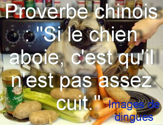 Le Proverbe Chinois Dit